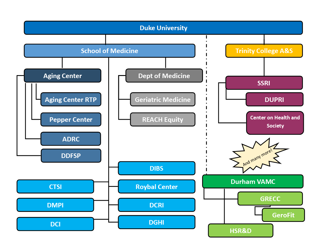 NIA T32 Postdoctoral Research Training Program in Aging | Duke Center for the Study of Aging and ...
